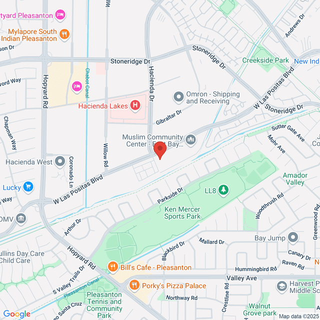 EDAX, 미국 - 코머신 판매자 소개 및 제품 소개